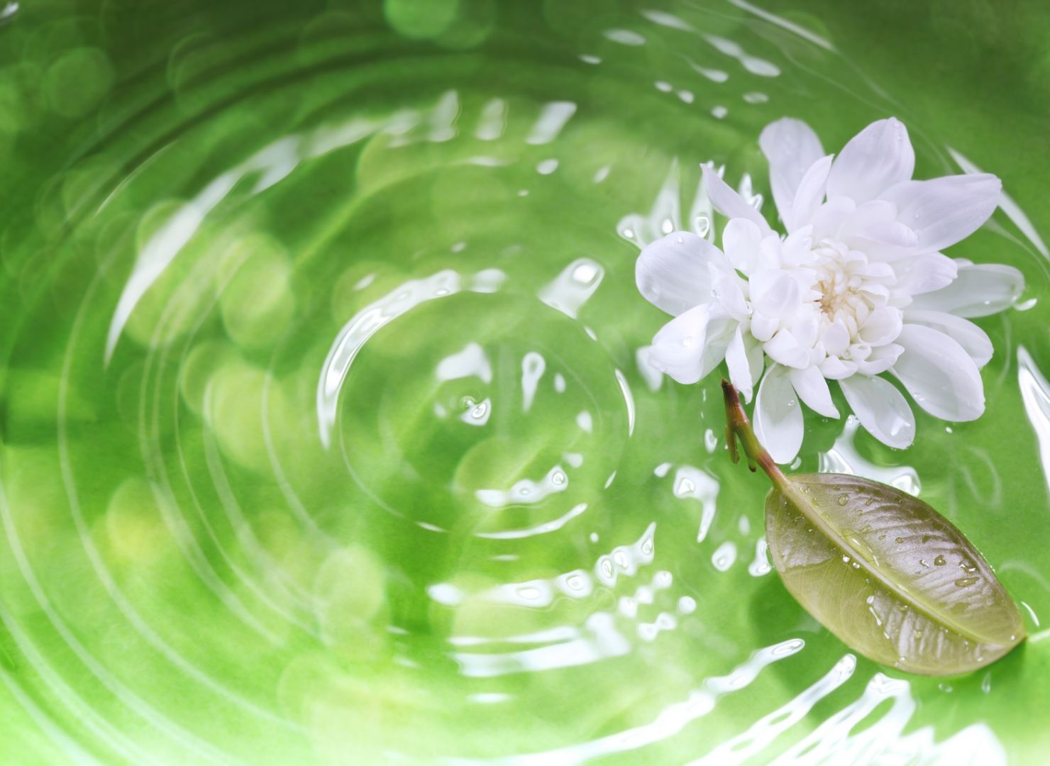 Serotonin: Why You Need It and How to Boost Levels Naturally - Dr ...